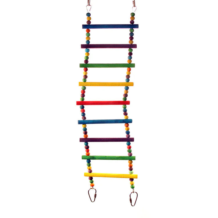 Flexible Colour Ladder Large (5915) – the Pet MARKET